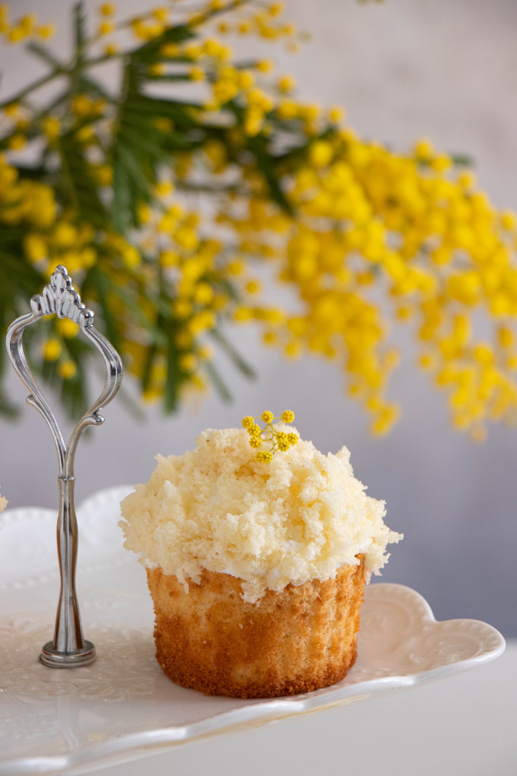 Muffin Mimosa